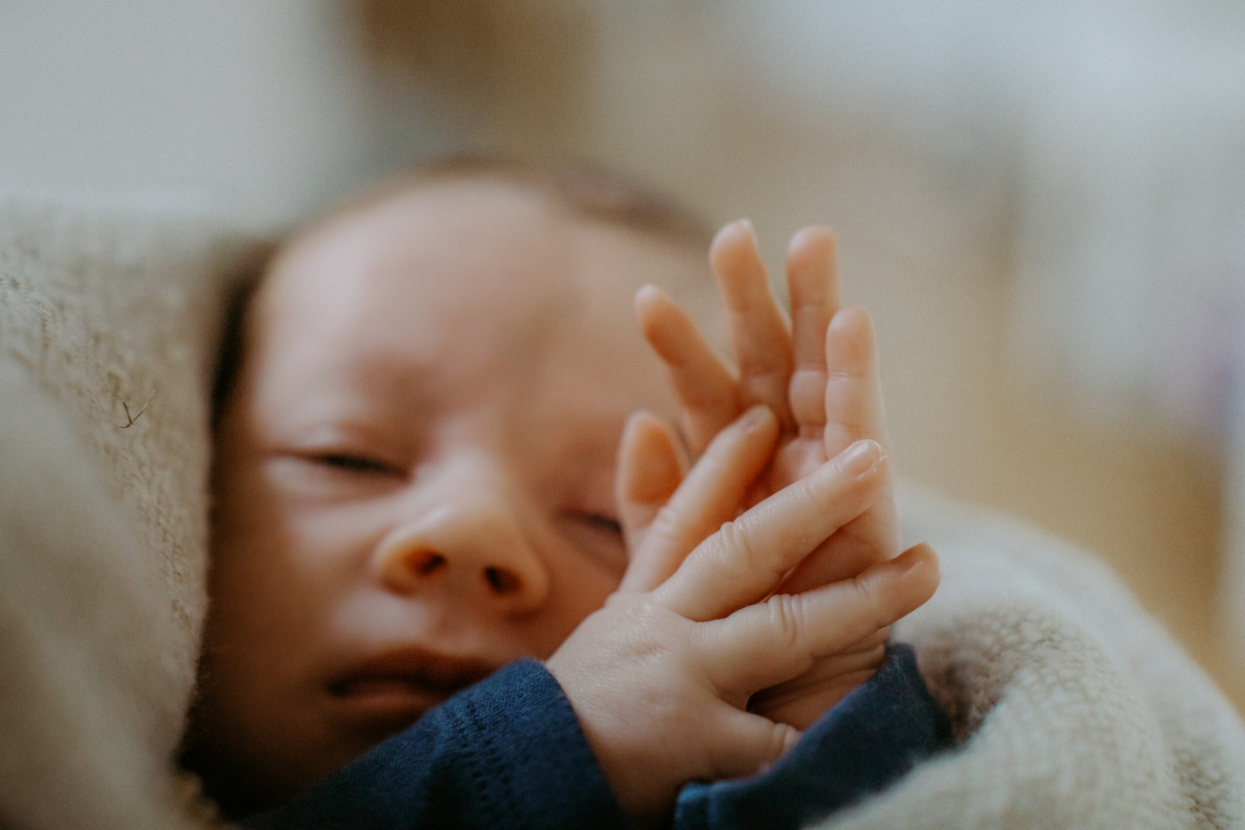 IVF con cellule donate | Repromeda